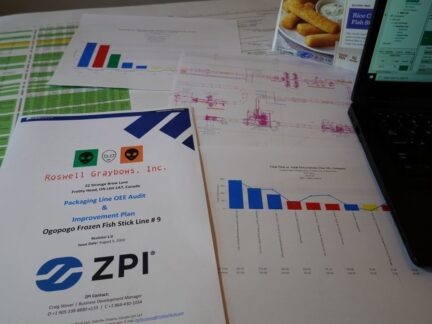 Packaging Line OEE Audits & Improvement Plans - Professional Services ...